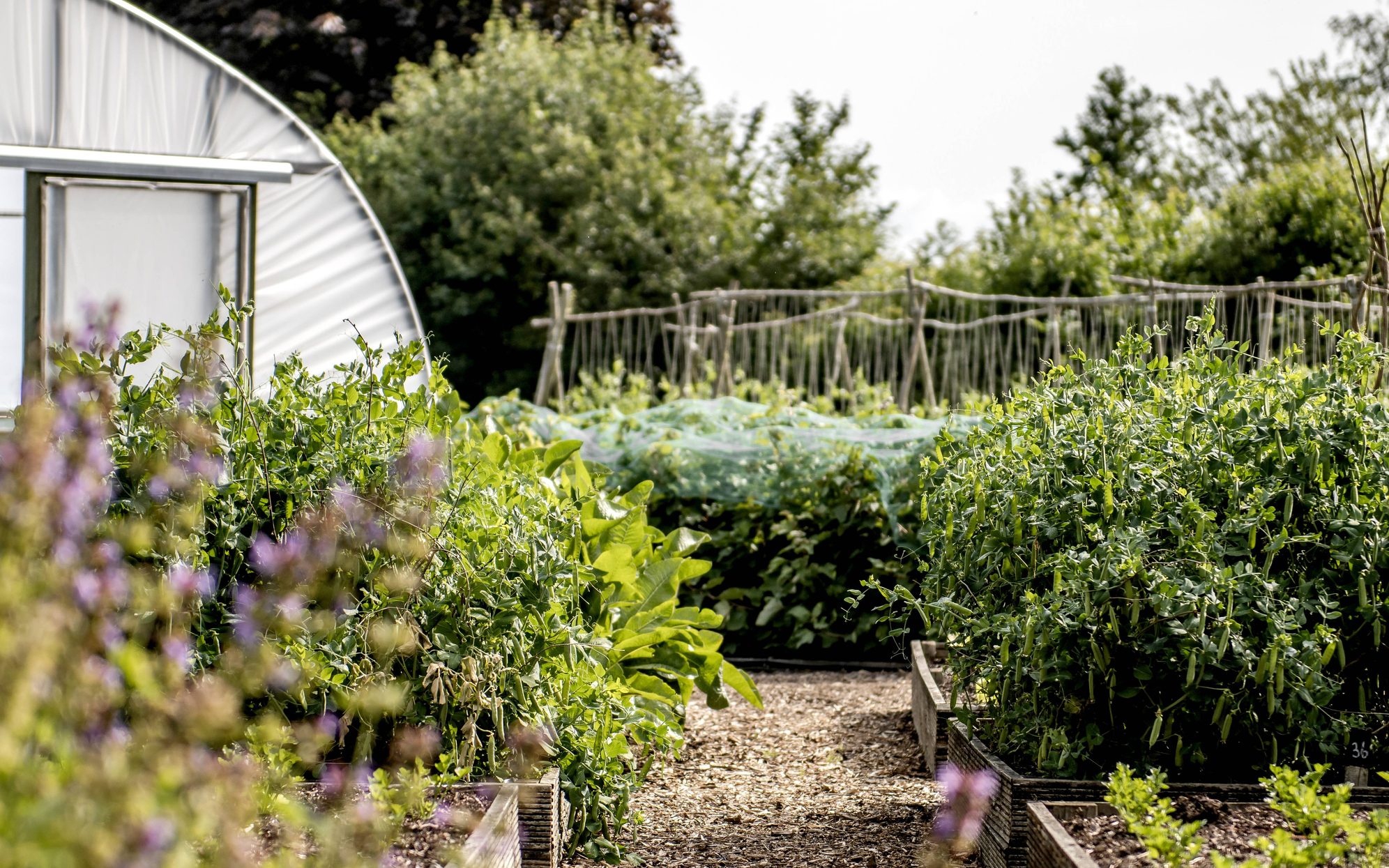 Home page | Garsington Opera